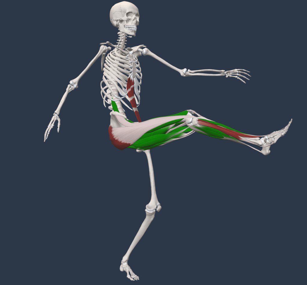 3D Real-time Functional Anatomy is now available!