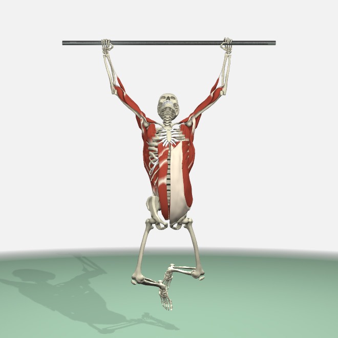 Physical / Physiotherapy & Sports Science