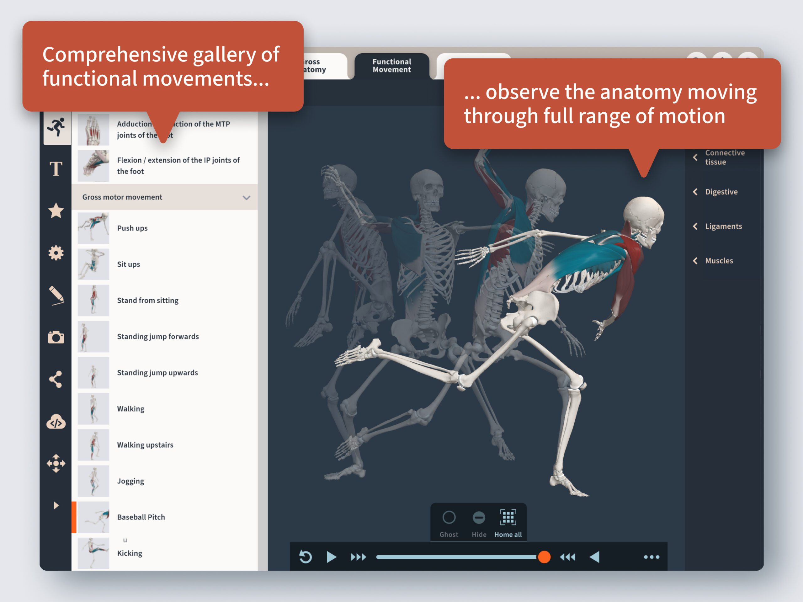 Primal's functional anatomy app is now available!