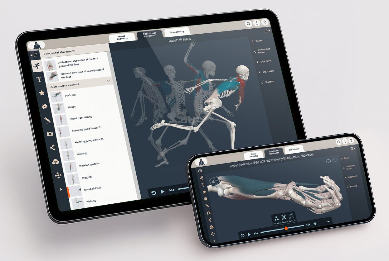 Primal's functional anatomy app is now available!